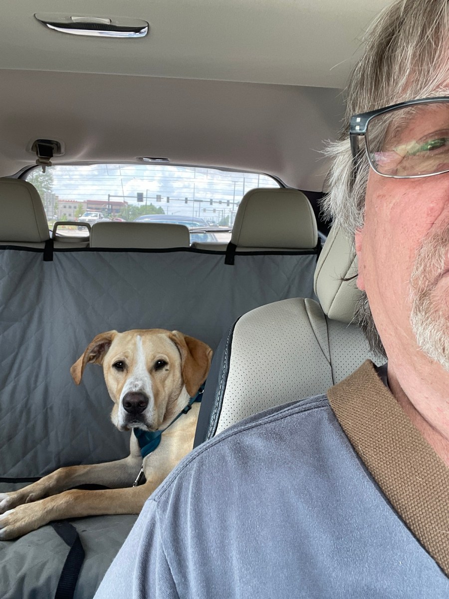 Life With Charlie, the Perpendicular Dog – Ticket 2 Ride